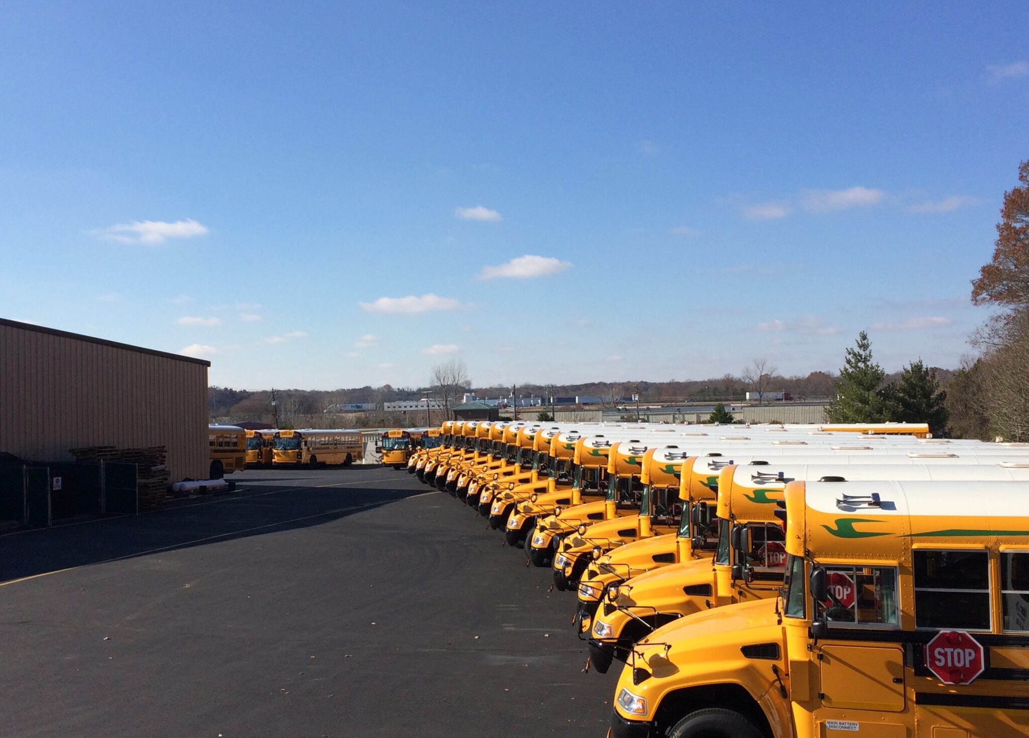 Blue Bird Type C School Bus - ROUSH CleanTech